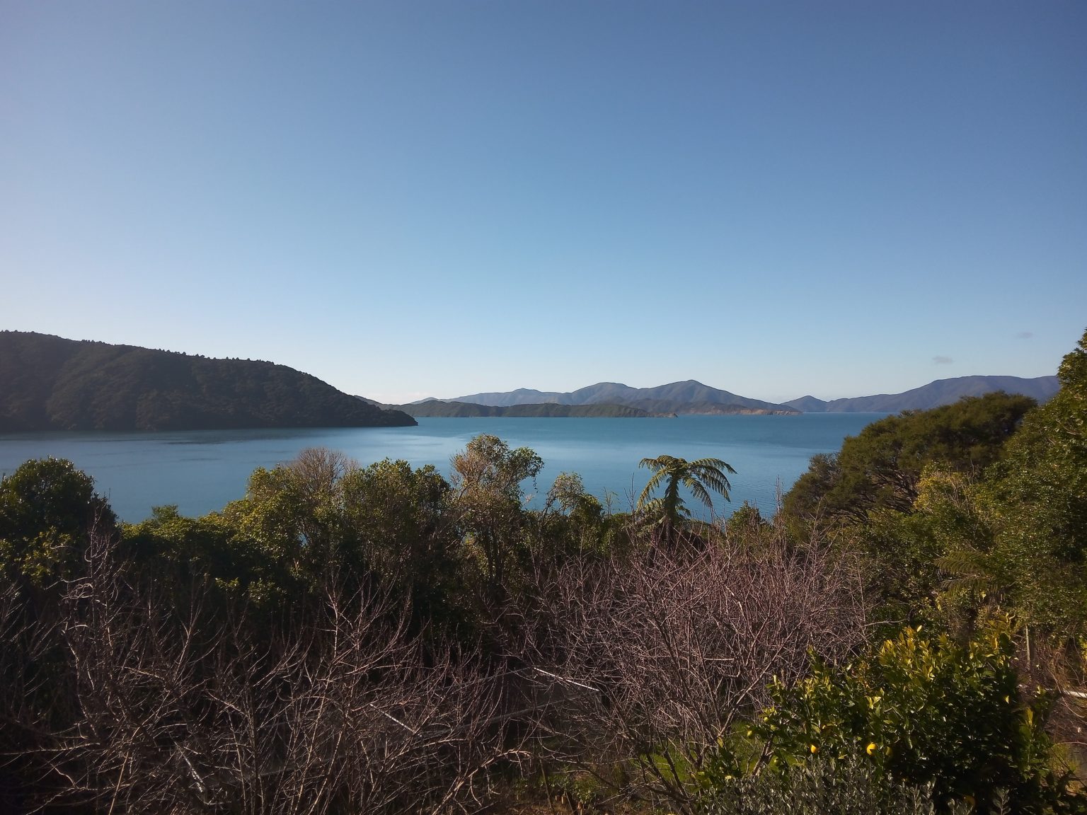 Planting Day - Resolution Bay - Sounds Enhancement